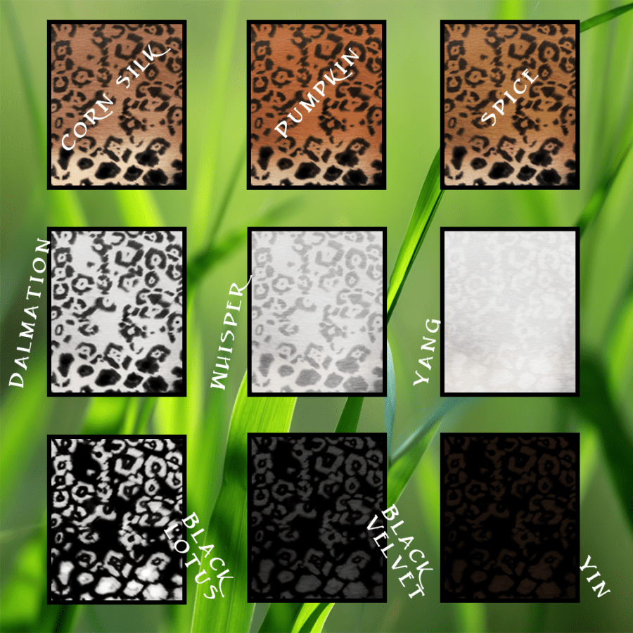 Big Cat Fur Types – WK – Wild Kajaera