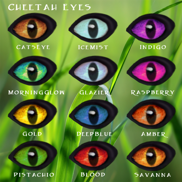 Eye Types – WK – Wild Kajaera