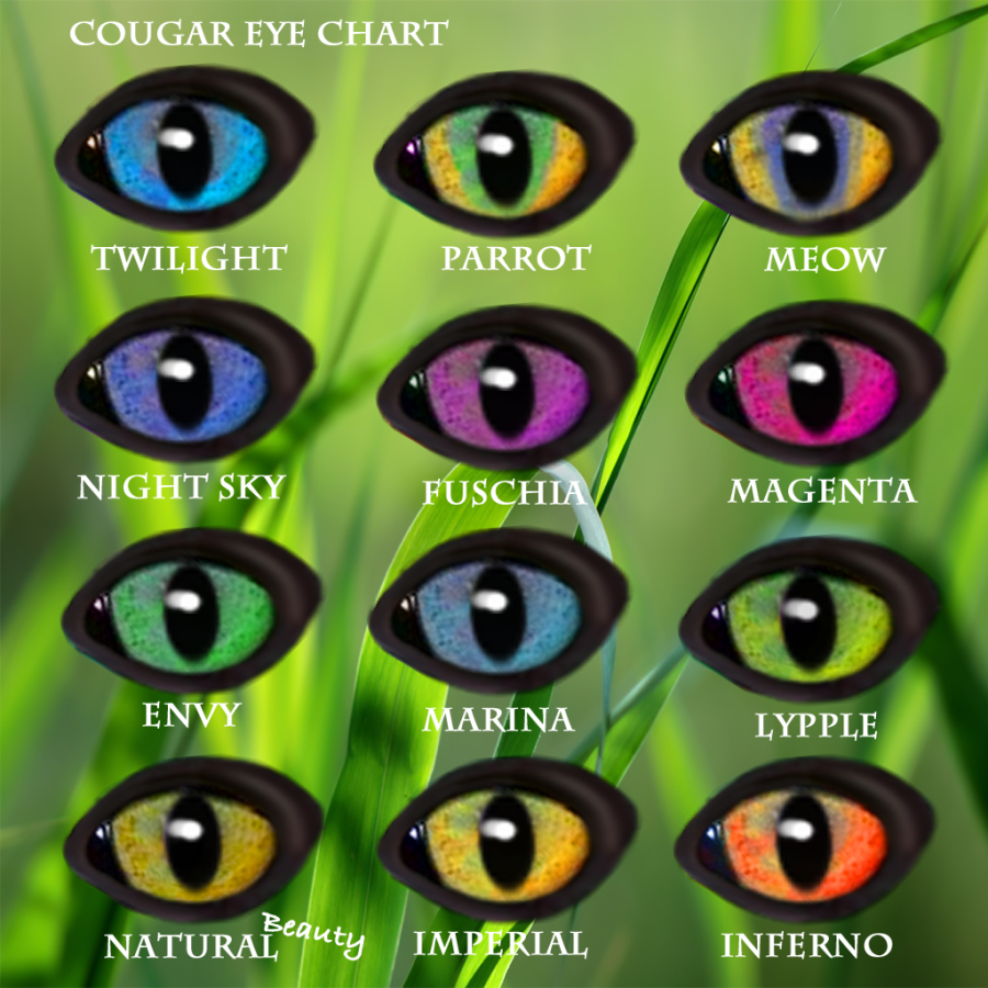 Eye Types – WK – Wild Kajaera