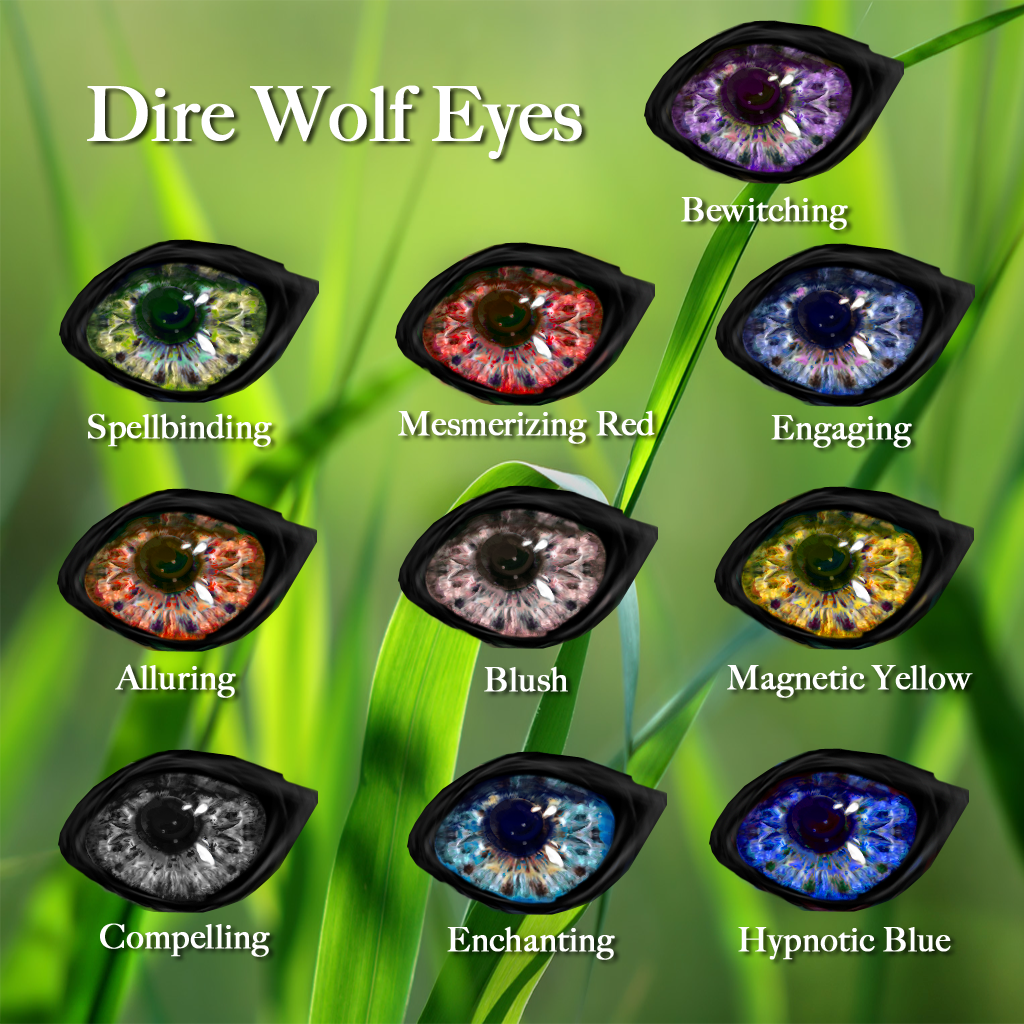 Eye Types – WK – Wild Kajaera