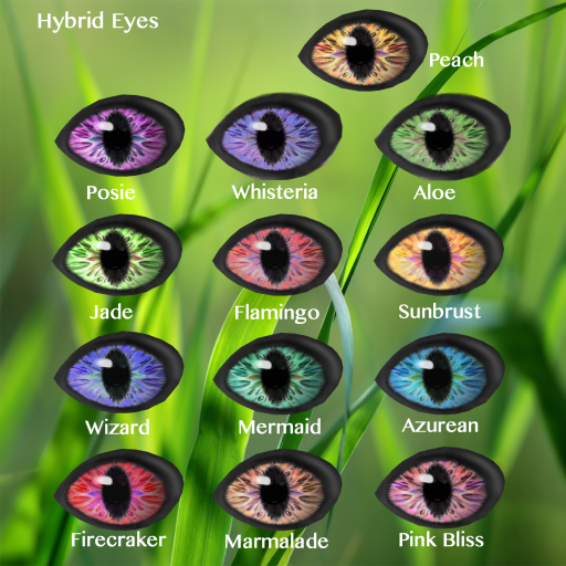 Hybrid Breeding – WK – Wild Kajaera