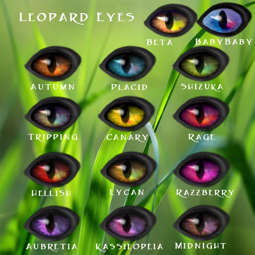 Eye Types – WK – Wild Kajaera