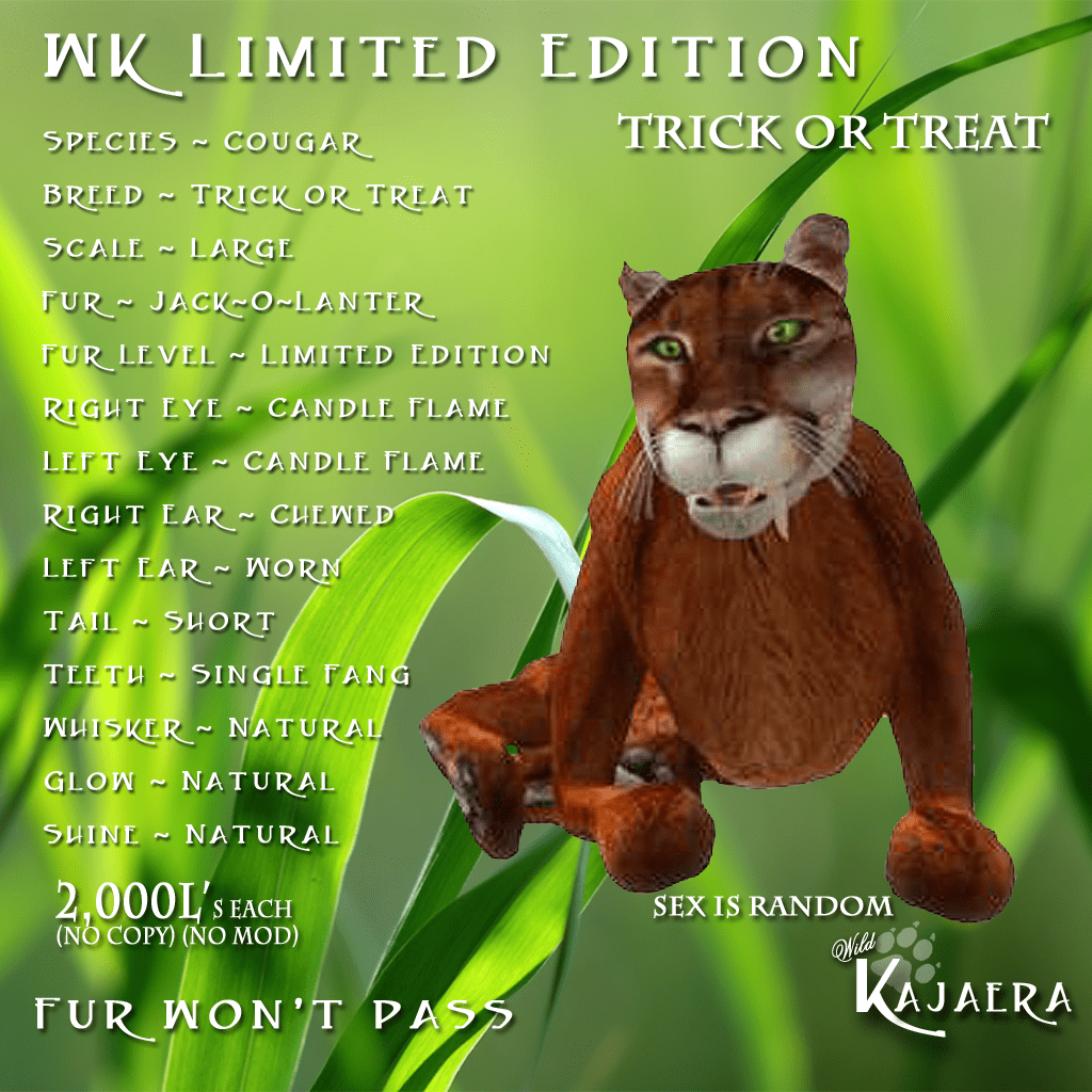 Specialty Animals – WK – Wild Kajaera
