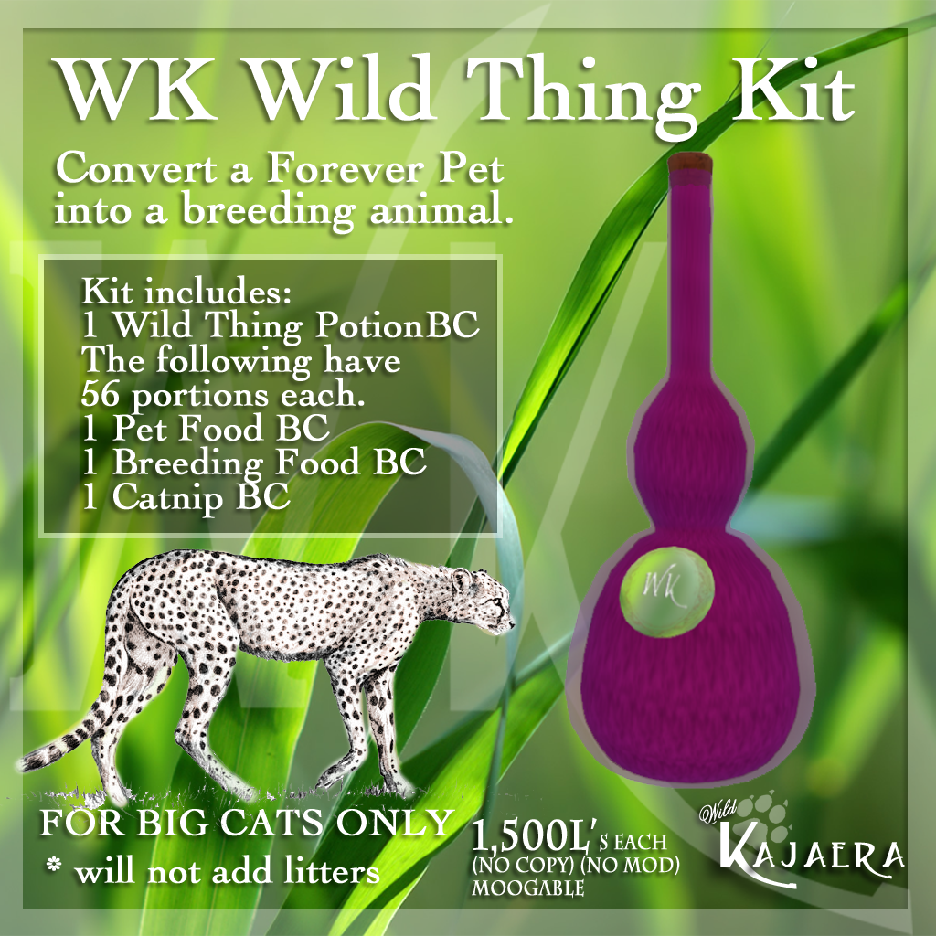 The Wild Thing – WK – Wild Kajaera