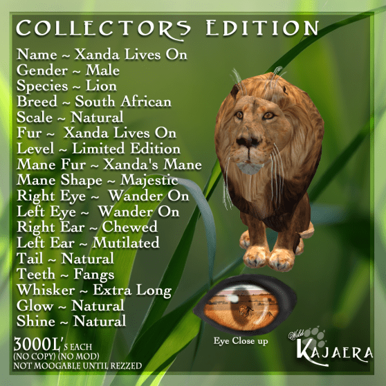 Xanda Lives On – WK – Wild Kajaera