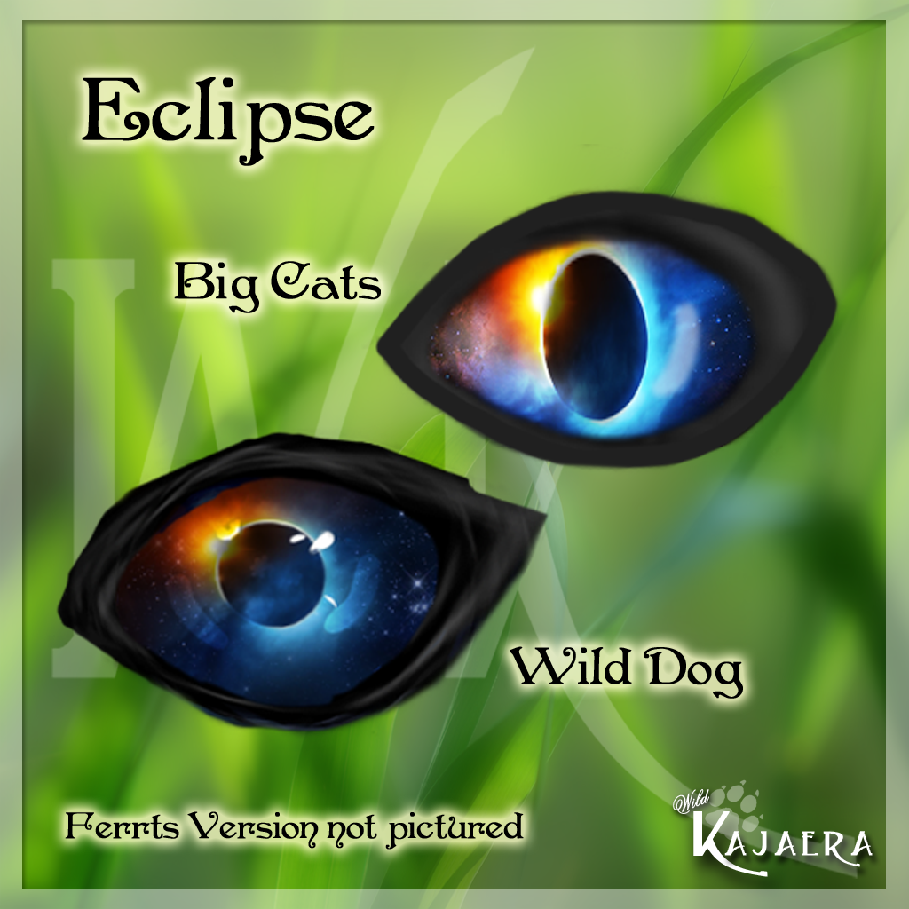 Eclipse Eye – WK – Wild Kajaera