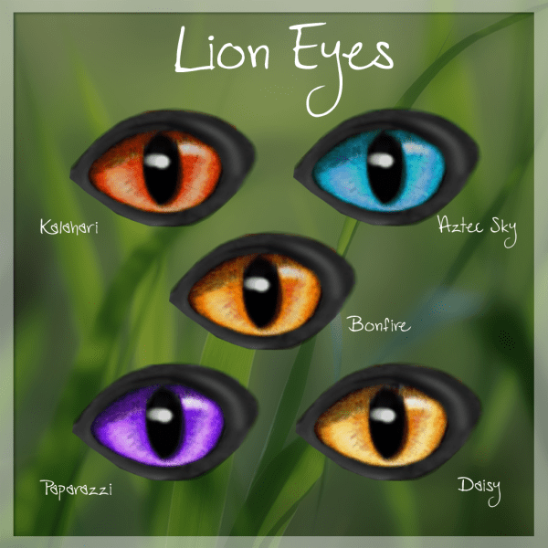 Eye Types – WK – Wild Kajaera