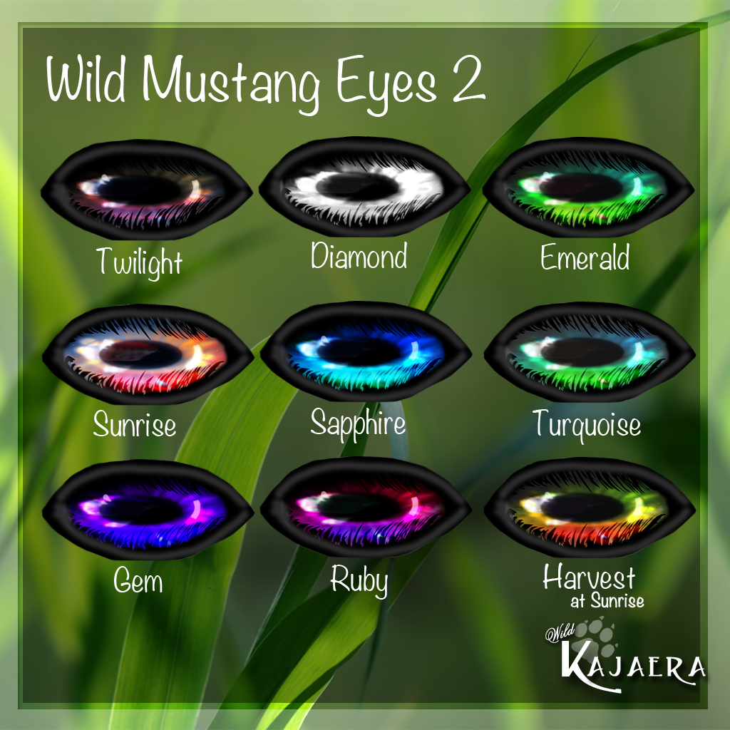 Eye Types – WK – Wild Kajaera