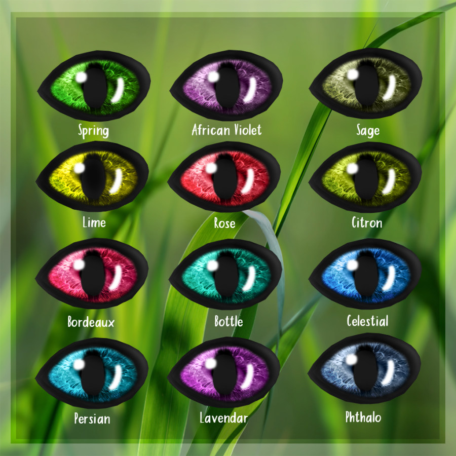 Eye Types – WK – Wild Kajaera