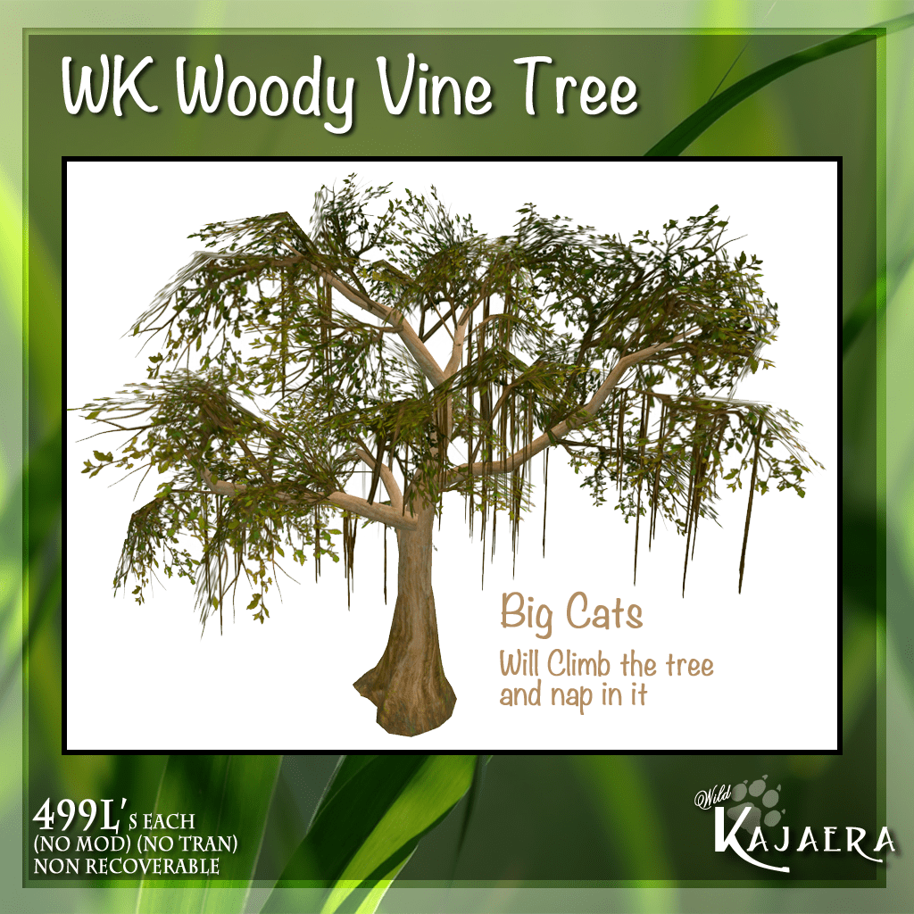 New Trees – WK – Wild Kajaera