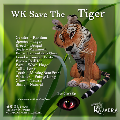 Global Tiger Day – WK – Wild Kajaera