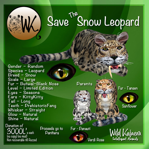 Save the Snow Leopard – WK – Wild Kajaera