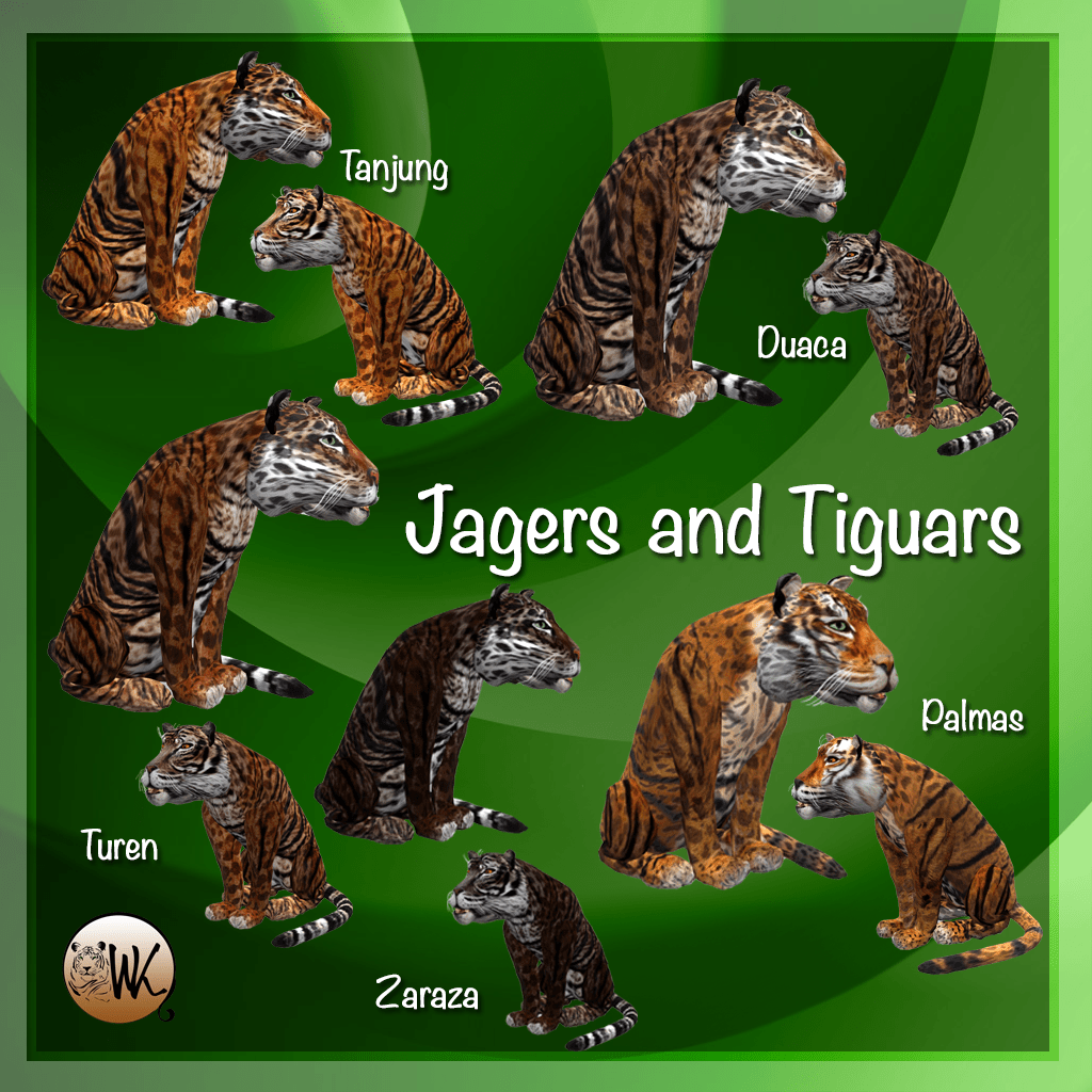 Big Cat Fur Types – WK – Wild Kajaera