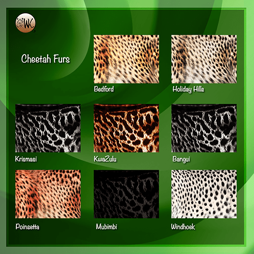 Big Cat Fur Types – WK – Wild Kajaera