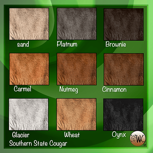 Big Cat Fur Types – WK – Wild Kajaera