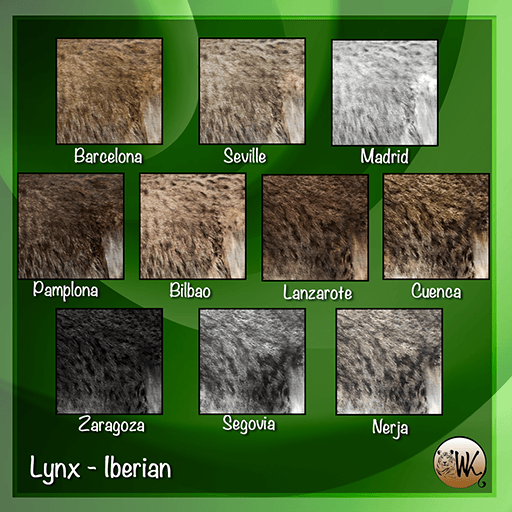 Big Cat Fur Types – WK – Wild Kajaera