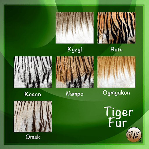 Big Cat Fur Types – WK – Wild Kajaera
