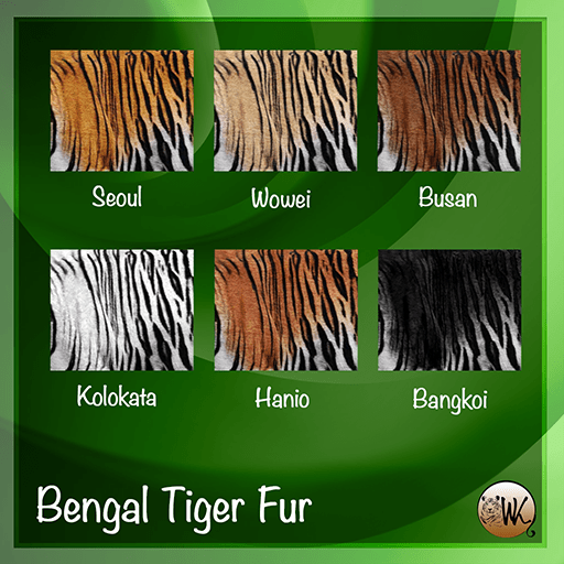 Big Cat Fur Types – WK – Wild Kajaera