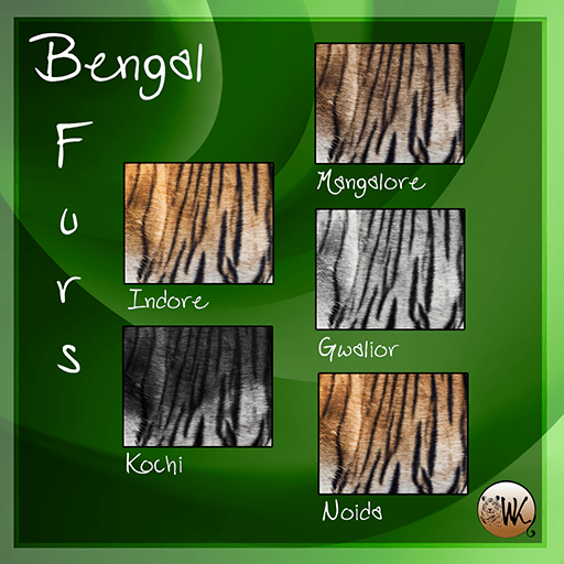Big Cat Fur Types – WK – Wild Kajaera