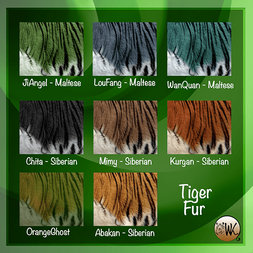 Big Cat Fur Types – WK – Wild Kajaera