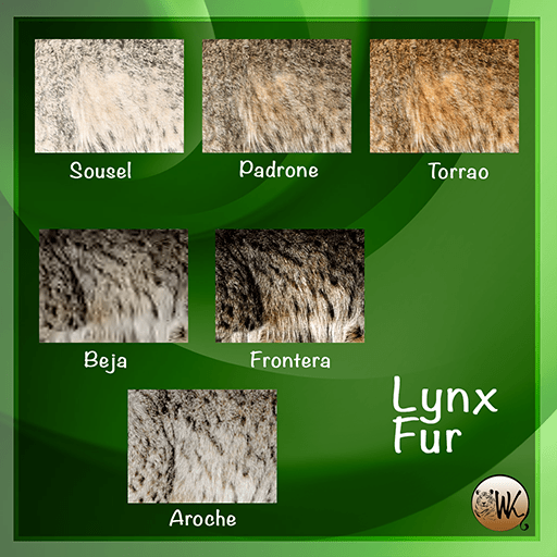 Big Cat Fur Types – WK – Wild Kajaera