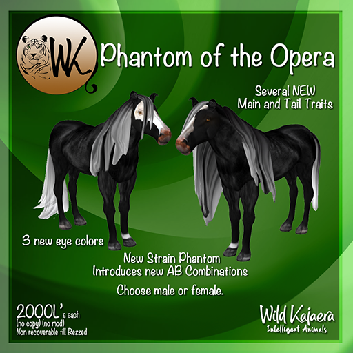 WK Halloween Horse – WK – Wild Kajaera