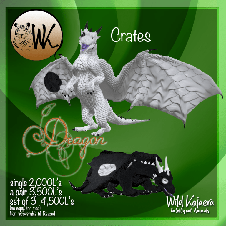 WK – Wild Kajaera – Intelligent Animals