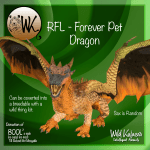 WK – Wild Kajaera – Intelligent Animals