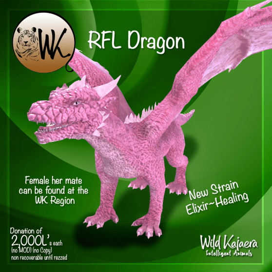 WK – Wild Kajaera – Intelligent Animals